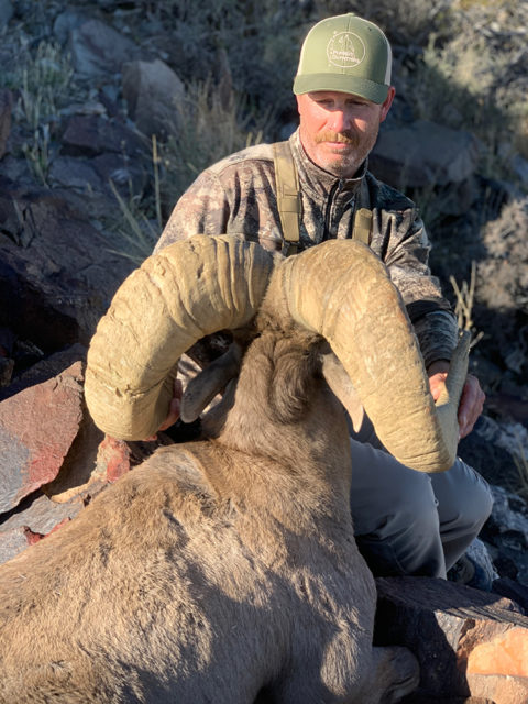 Michael’s Record Book Desert Bighorn Sheep - Exclusive Pursuit ...